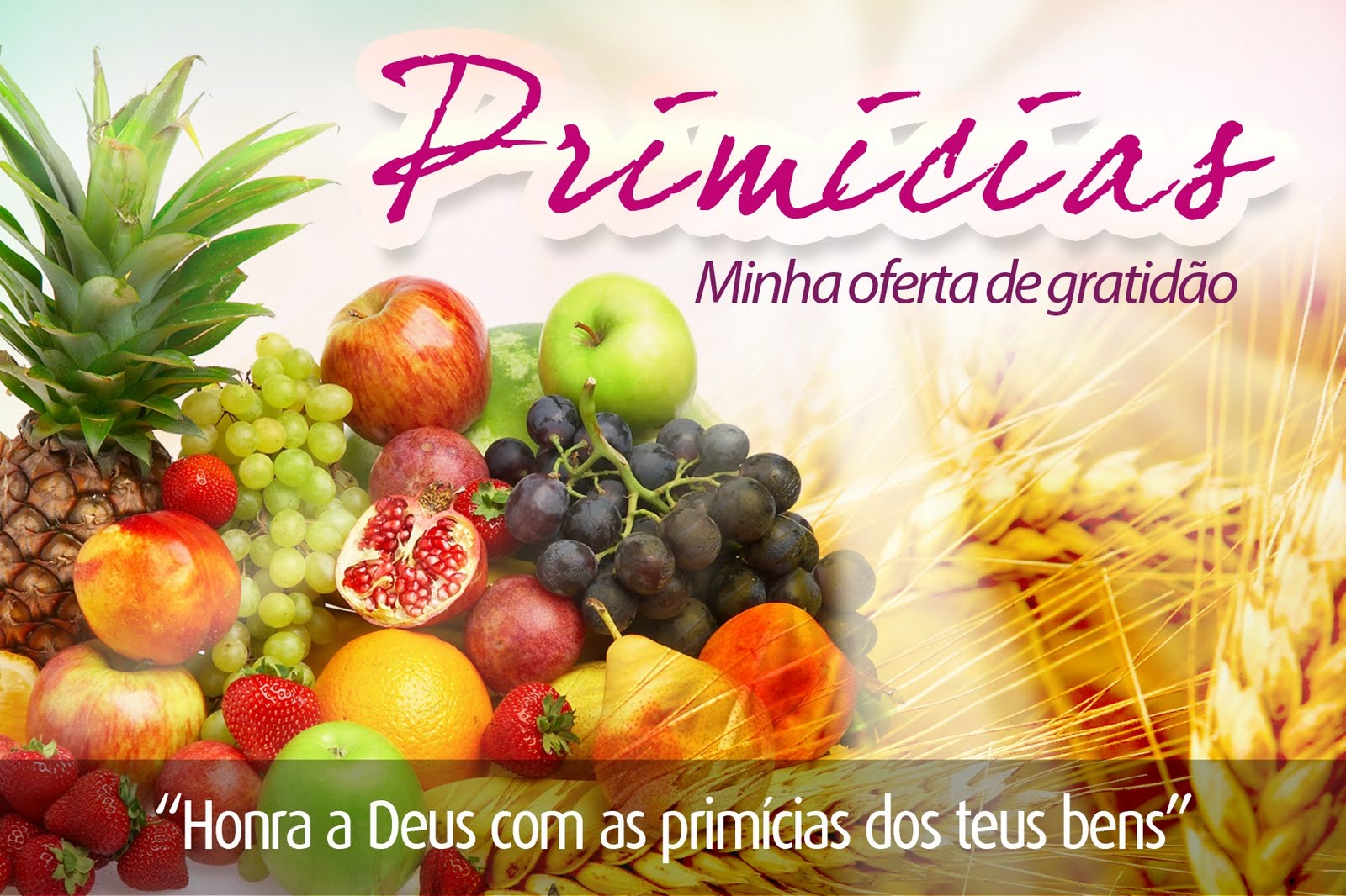 Cristo, as primícias – Blog do Seu Alipio