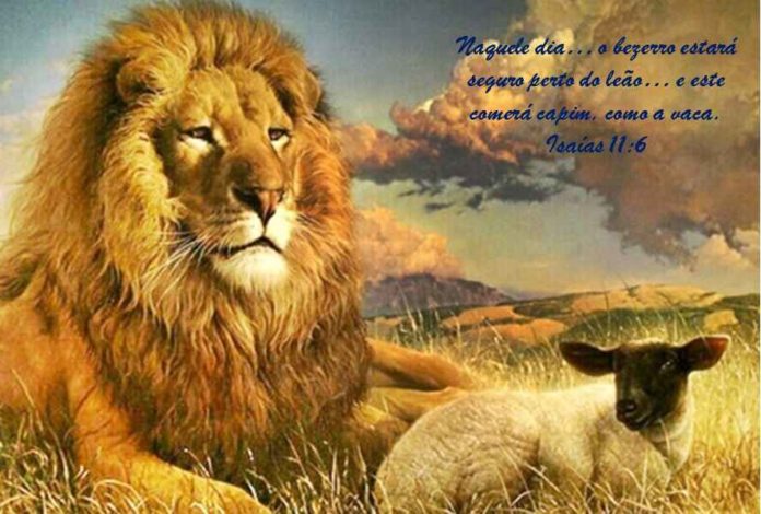 ISAÍAS 11 – O RENOVO DA LINHAGEM DE JESSÉ | Blog do Seu Alipio