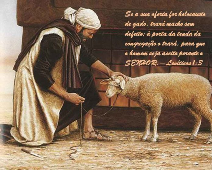 LEVÍTICO 1 – OS HOLOCAUSTOS | Blog do Seu Alipio