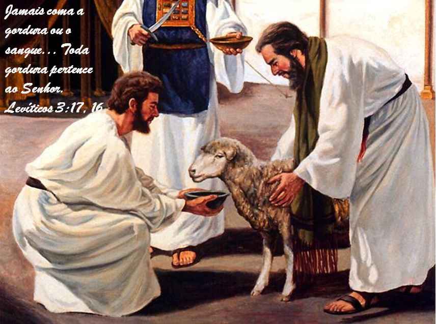LEVÍTICO 3 – OS SACRIFÍCIOS PACÍFICOS | Blog do Seu Alipio